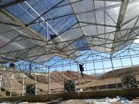 China 8m 9.6m 12m Span Width Agriculture Greenhouse For Hybrid Tomato Seeds And Vegetables for sale
