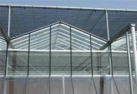 China Hot Galvanized Steel Frame Structure Venlo Glass Greenhouses for Vegetable Agriculture for sale