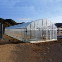 China 2.5-5M Height Tomato Hydroponic High Tunnel Agriculture Greenhouse with Film Cover for sale