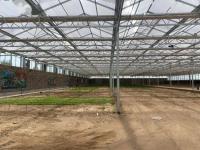 China 8m 9.6m 12m Span Width Agriculture Greenhouse For Hybrid Tomato Seeds And Vegetables for sale