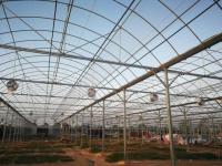 China 4.0-8.0M Height Agriculture Multi Span Plastic Film Greenhouse For Tomato Turnkey Project for sale