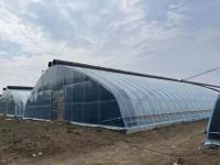 China 150/200 Micro Film Covered Solar Greenhouse For Yield Cucumber Farming for sale
