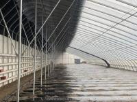China 150/200 Micro Film Covered Solar Greenhouse For Yield Cucumber Farming for sale