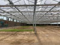 China Sturdy And Large Greenhouse Agriculture Polycarbonate With Galvanized Steel Frame for sale
