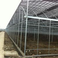 China Film Cover Material Agriculture Multi Span Greenhouse with Galvanized Steel Pipe Tube for sale
