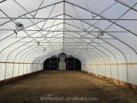 China 6m-10m Width Galvanized Steel Frame Single Span PE Film Greenhouse for Tomato for sale