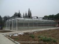 China Commercial Agricultural Greenhouse with Hydroponic System and 8mm PC Sheet Covering for sale
