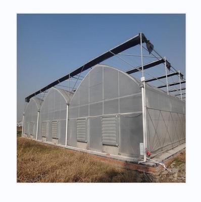 China Easy Assembled Tomato Agricultural Kit Frame Greenhouse With Super Strong Resistance for sale