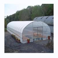 China Hot Dip Galvanized Steel Tube Frame Greenhouse Film for Agriculture in 10-100m Length for sale