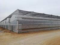 China Easy Assembled Tomato Agricultural Kit Frame Greenhouse With Super Strong Resistance for sale