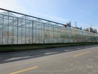 China Large Agricultural Greenhouse with Galvanized Steel Frame and Optional Cooling System for sale