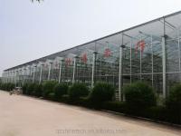 China Large Agricultural Greenhouse with Galvanized Steel Frame and Optional Cooling System for sale