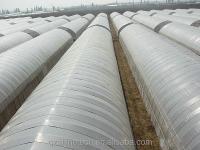China Hot Dip Galvanized Steel Tube Frame Greenhouse Film for Agriculture in 10-100m Length for sale