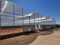 China Strong Resistance Multi Span Venlo PC Sheet Greenhouse Arch Polycarbonate Greenhouse for sale