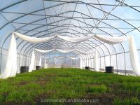 China Small High Tunnel Film Greenhouse For Growing Tomatoes 6m-10m Width for sale