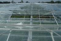 China Maximize Harvest Super Strong Resistance Multi Span Agricultural Greenhouses for sale
