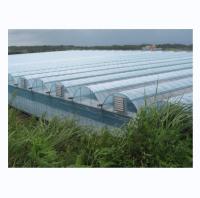 China Industrial Hydroponic Greenhouse with Super Strong Resistance Multi Span Greenhouse for sale