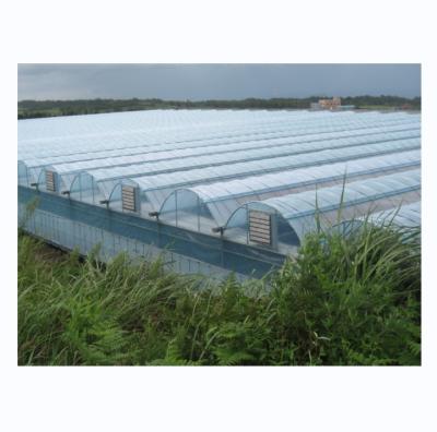 China Industrial Hydroponic Greenhouse with Super Strong Resistance Multi Span Greenhouse for sale