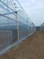 China Industrial Hydroponic Greenhouse with Super Strong Resistance Multi Span Greenhouse for sale