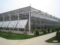 China Maximize Harvest Super Strong Resistance Multi Span Agricultural Greenhouses for sale
