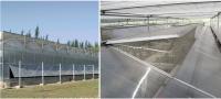 China 4m Bay Width Polycarbonate Greenhouse Installation Drawing and Galvanized Steel Frame for sale