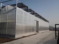 China 4m Bay Width Polycarbonate Greenhouse Installation Drawing and Galvanized Steel Frame for sale