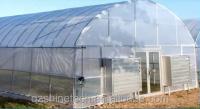 China Tomato Hydroponic Agricultural Greenhouse For Enhanced Yield In Single Span Design for sale