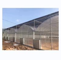 China Vegetable Fruits Flowers Film Greenhouse Chinese Multi Span Greenhouse for Tomato Agriculture for sale