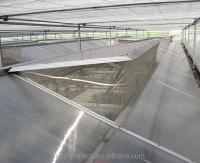 China Industrial Polycarbonate Sheet Greenhouses Ideal for Growing Vegetable Fruits Flowers for sale