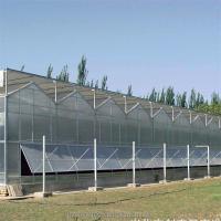 China Industrial Polycarbonate Sheet Greenhouses Ideal for Growing Vegetable Fruits Flowers for sale