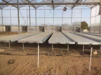 China Industrial Polycarbonate Sheet Greenhouses Ideal for Growing Vegetable Fruits Flowers for sale