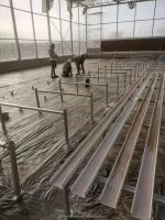 China Industrial Polycarbonate Sheet Greenhouses Ideal for Growing Vegetable Fruits Flowers for sale
