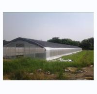China 150/200micro Film High Tunnel Agricultural Greenhouse for Tomato Hydroponic Growing for sale