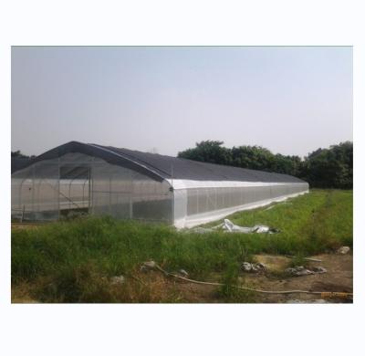 China 150/200micro Film High Tunnel Agricultural Greenhouse for Tomato Hydroponic Growing for sale