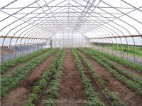 China 150/200micro Film High Tunnel Agricultural Greenhouse for Tomato Hydroponic Growing for sale