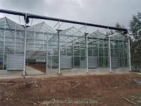 China Galvanized Steel Frame Glass Covered Agriculture Greenhouse with Installation Drawing for sale