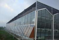China Galvanized Steel Frame Glass Covered Agriculture Greenhouse with Installation Drawing for sale