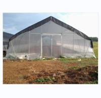 China 150/200micro Film Covered Tunnel Greenhouse For Hydroponic Tomato Growing for sale