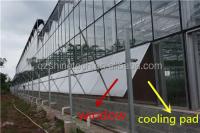 China Super Strong Resistance Venlo Glass Greenhouse for Commercial Agricultural Turnkey Project for sale