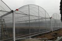 China Intelligent Greenhouse For Tomato Cultivation Multi Span Film Green House By Shine Tech for sale