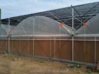 China Intelligent Greenhouse For Tomato Cultivation Multi Span Film Green House By Shine Tech for sale