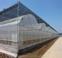China Intelligent Greenhouse For Tomato Cultivation Multi Span Film Green House By Shine Tech for sale