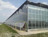 China Multi Span Glass Greenhouse Agricultural Equipment for Vegetable Fruits and Flowers for sale