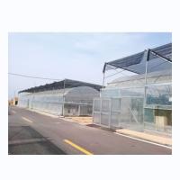 China 4.0-8.0M Height Agricultural Multi Span Film Greenhouse with Super Strong Resistance for sale