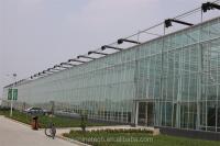 China Multi Span Glass Greenhouse Agricultural Equipment for Vegetable Fruits and Flowers for sale
