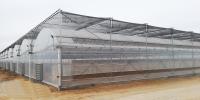China 4.0-8.0M Height Agricultural Multi Span Film Greenhouse with Super Strong Resistance for sale