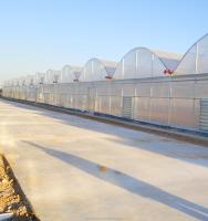 China 4.0-8.0M Height Agricultural Multi Span Film Greenhouse with Super Strong Resistance for sale