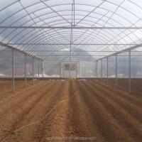 China 4.0-8.0M Height Agricultural Multi Span Film Greenhouse with Super Strong Resistance for sale