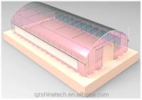 China Film Cover 50x8m Single Span Type Agricultural Tunnel Greenhouse with 3.5-5M Height for sale