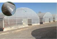 China Film Cover 50x8m Single Span Type Agricultural Tunnel Greenhouse with 3.5-5M Height for sale